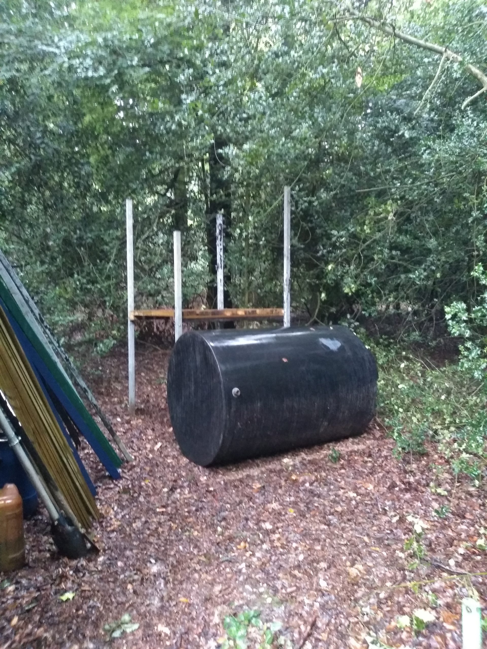 Birchen Copse – Woodcote Conservation Group